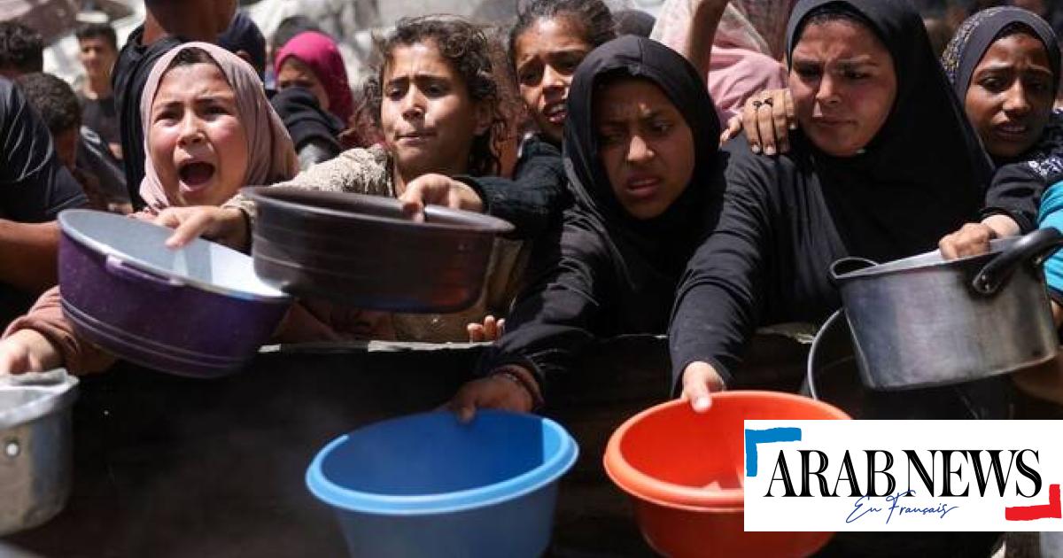 Gaza: la reprise partielle de l'aide humanitaire très insuffisante ...