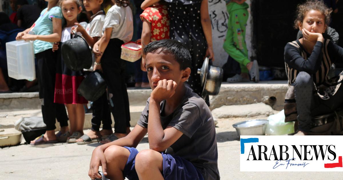 Gaza: des ONG mettent en garde la Fondation GHF contre toute complicité ...