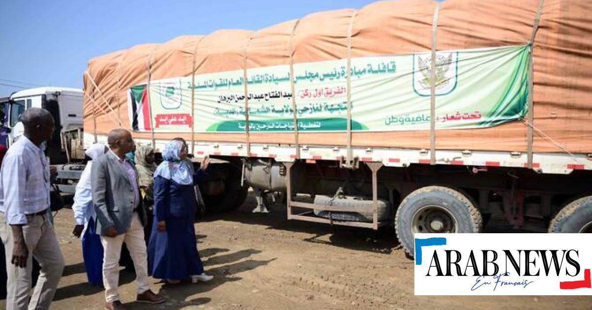 Plus de la moitié de la population soudanaise a besoin d'aide ...