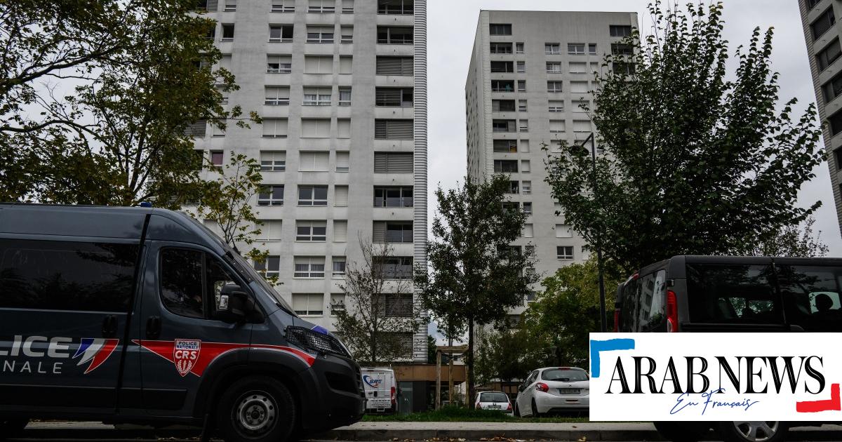 Grenoble: l'adolescent blessé par balles toujours dans le coma | Arab ...