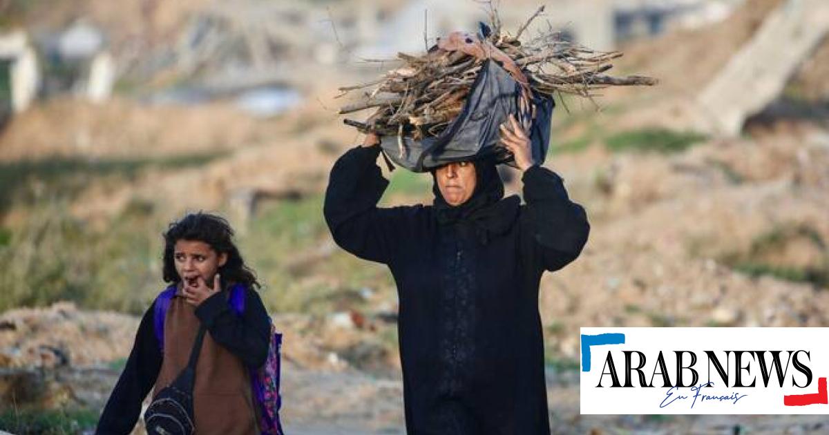 Israël confirme interdire d'accès à Gaza 37 ONG étrangères dont MSF et ...