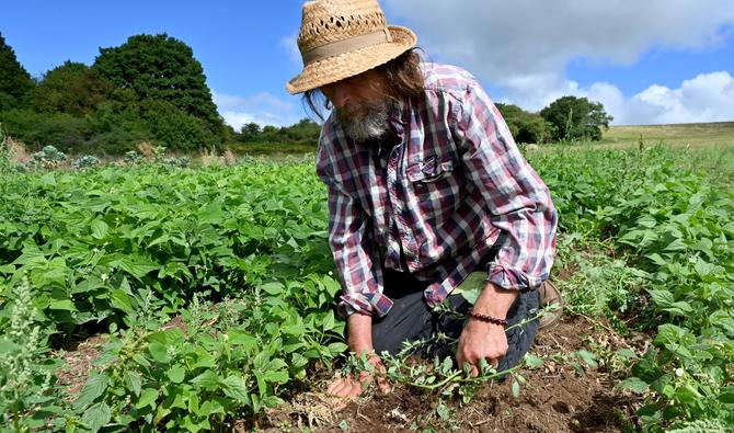Des agriculteurs du sud de la France sur de nouvelles pistes pour ...